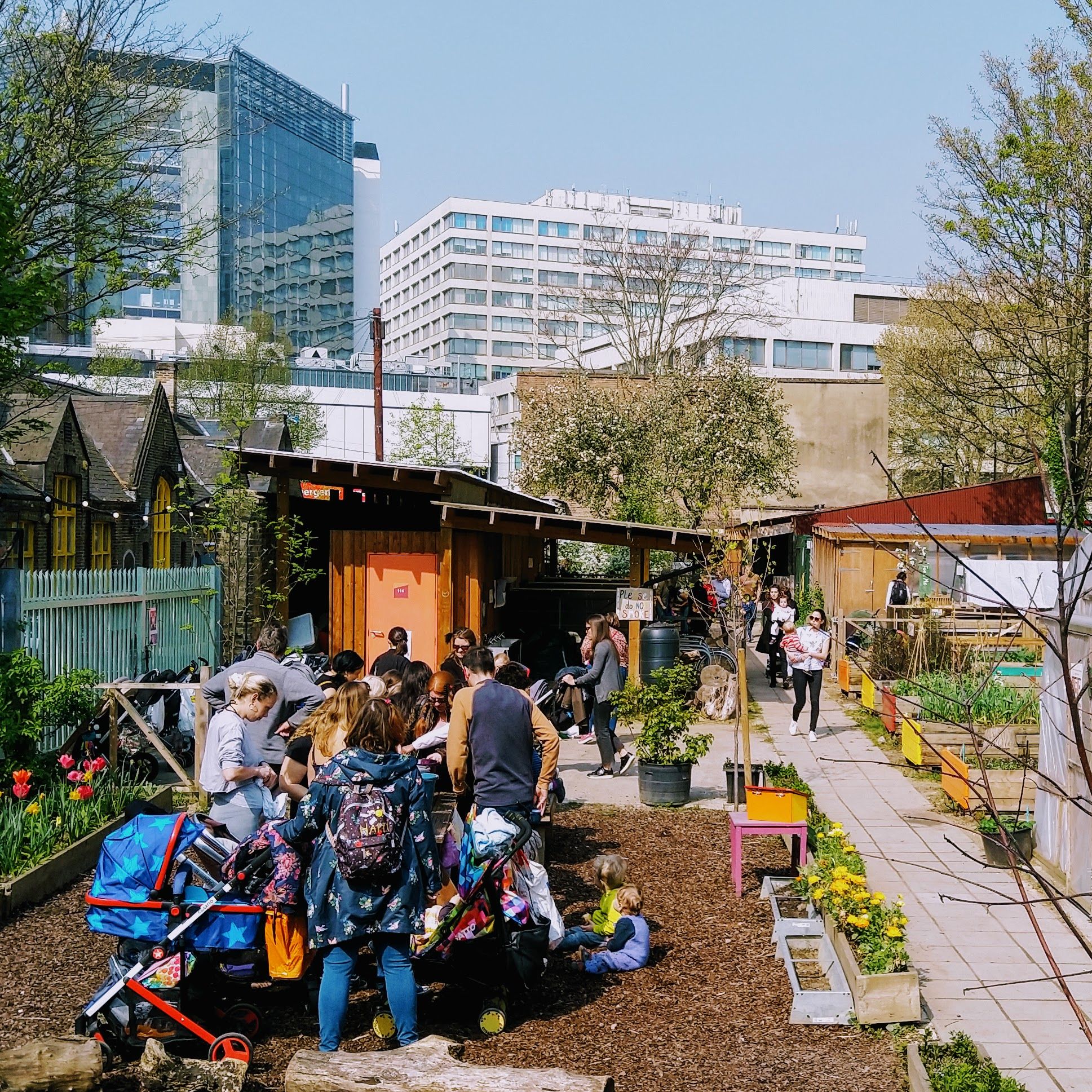 19_Waterloo City Farm的家庭日 圖_ ©Oasis Farm Waterloo – 眼底城事